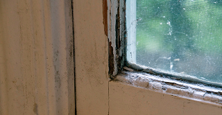 Lead Based Paint | Environmental Health & Safety